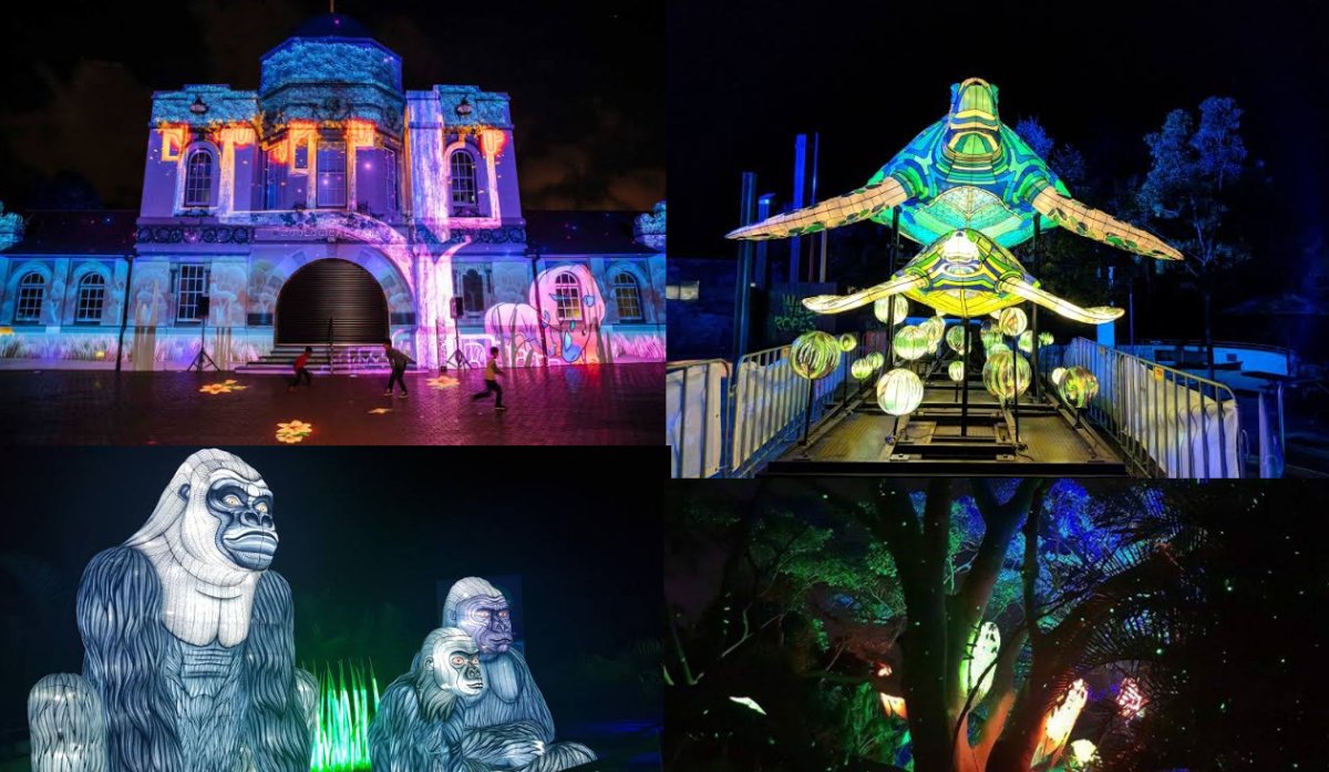 Toronga Zoo VIVID 2022 | HisVine